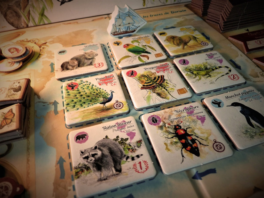 In the Footsteps of Darwin – Card's Board Game Cafe